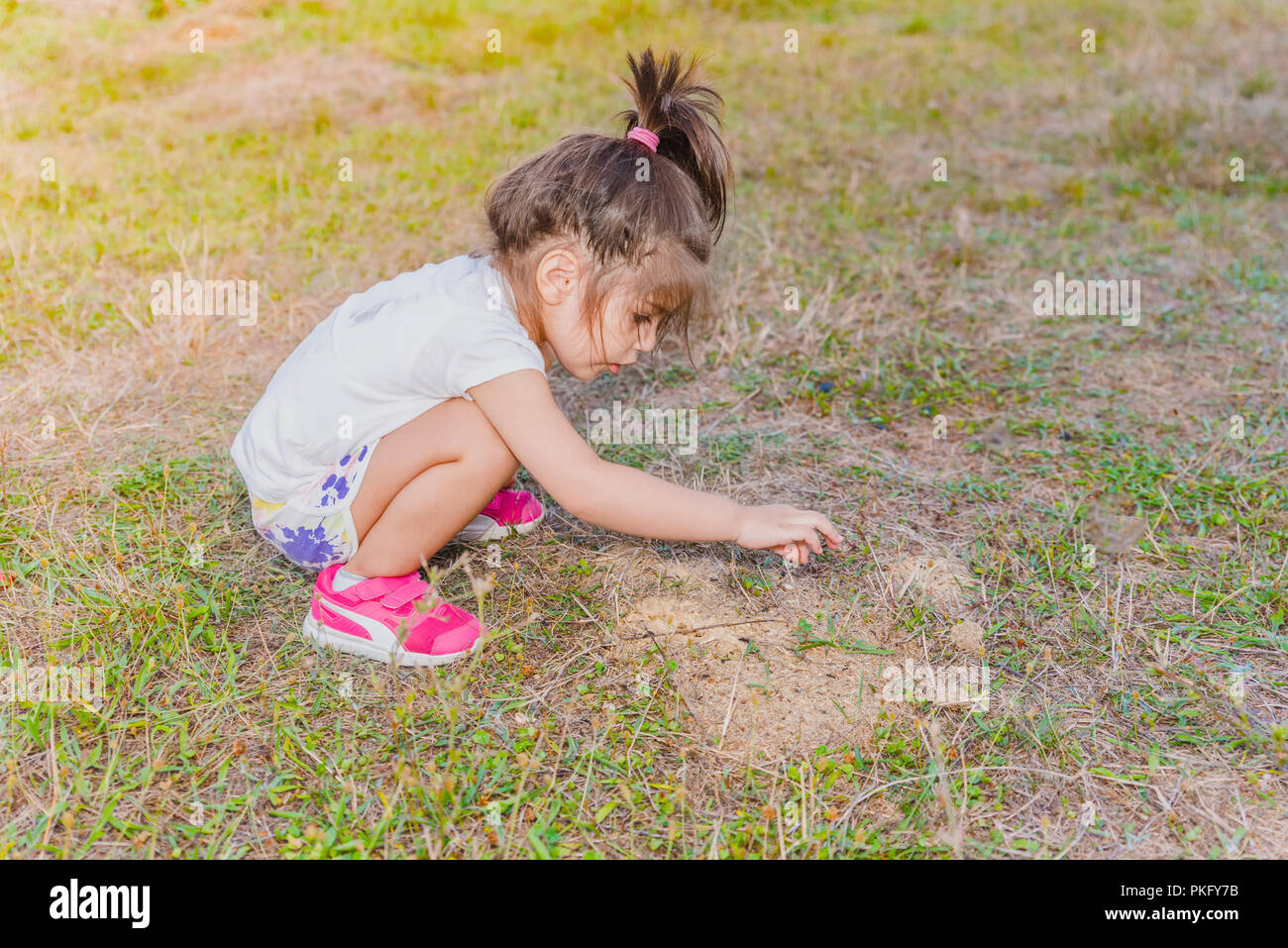 Portrait of cute little girl touching little ants with her finger on ...