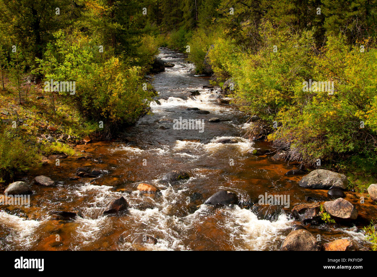 Wise River, Pioneer Mountains National Scenic Byway, Beaverhead ...