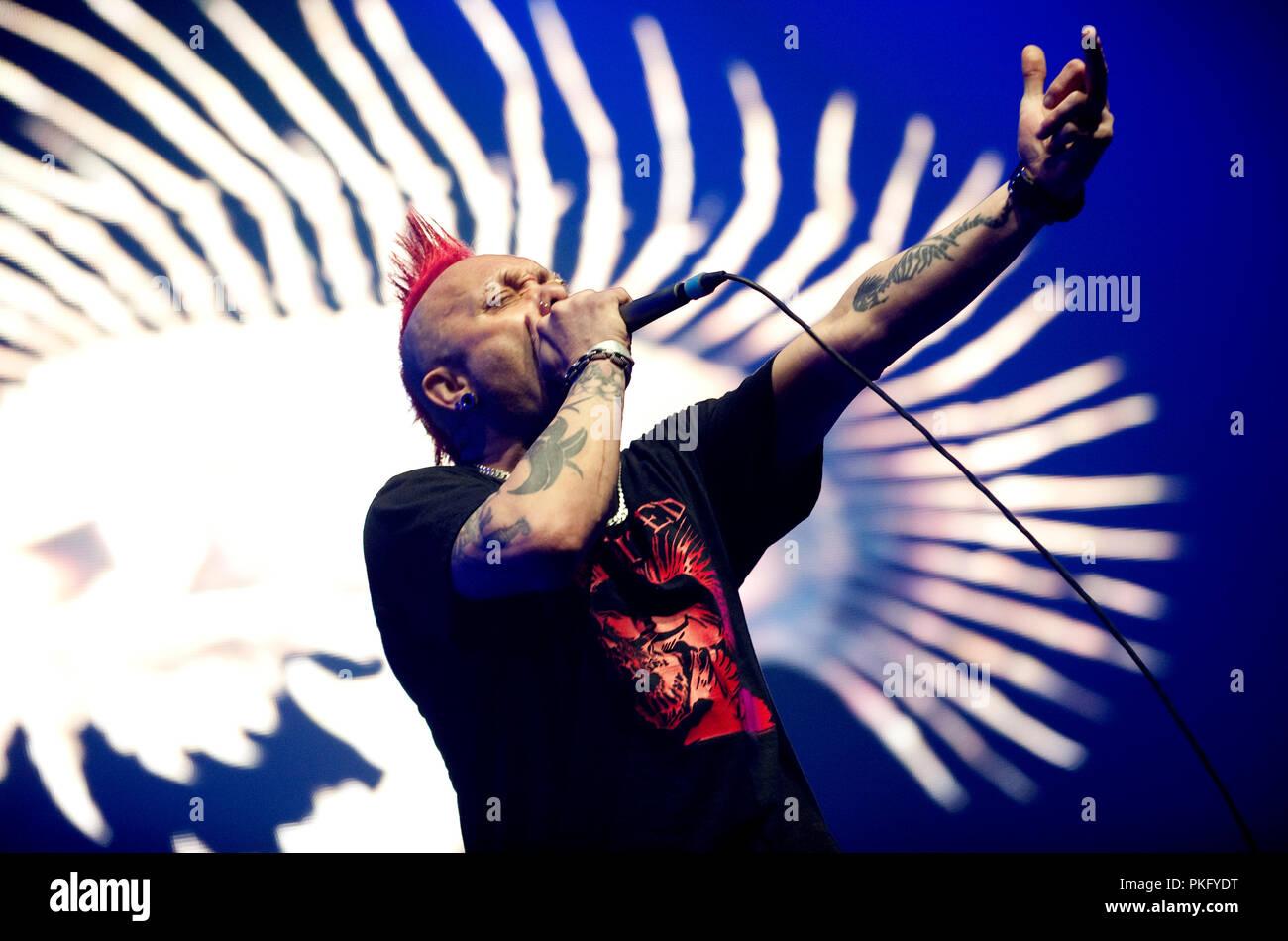 The exploited punk hi-res stock photography and images - Alamy