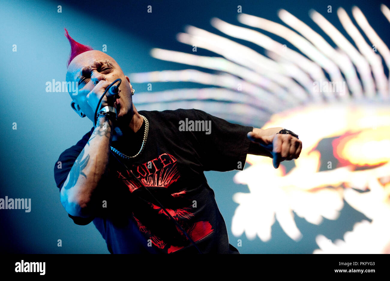The exploited punk hi-res stock photography and images - Alamy