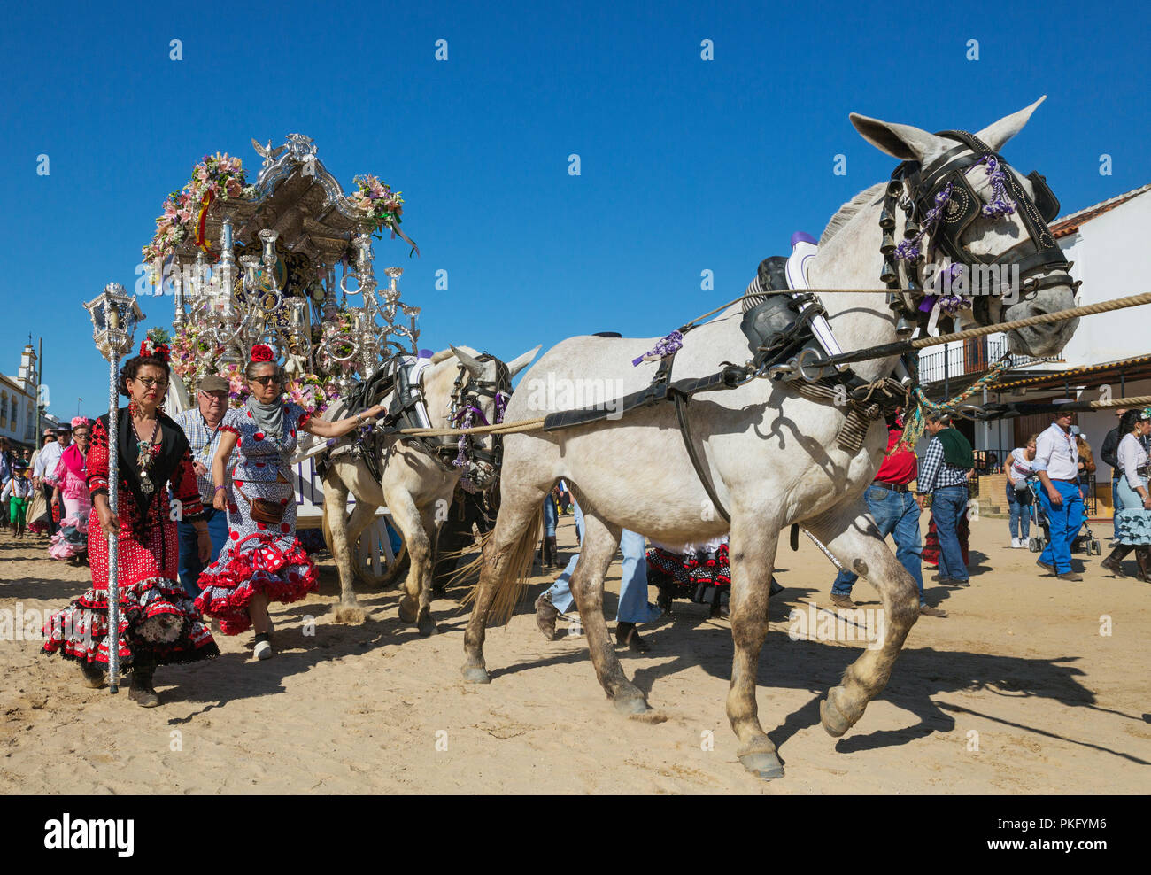 Gypsy horse carriage hi-res stock photography and images - Alamy