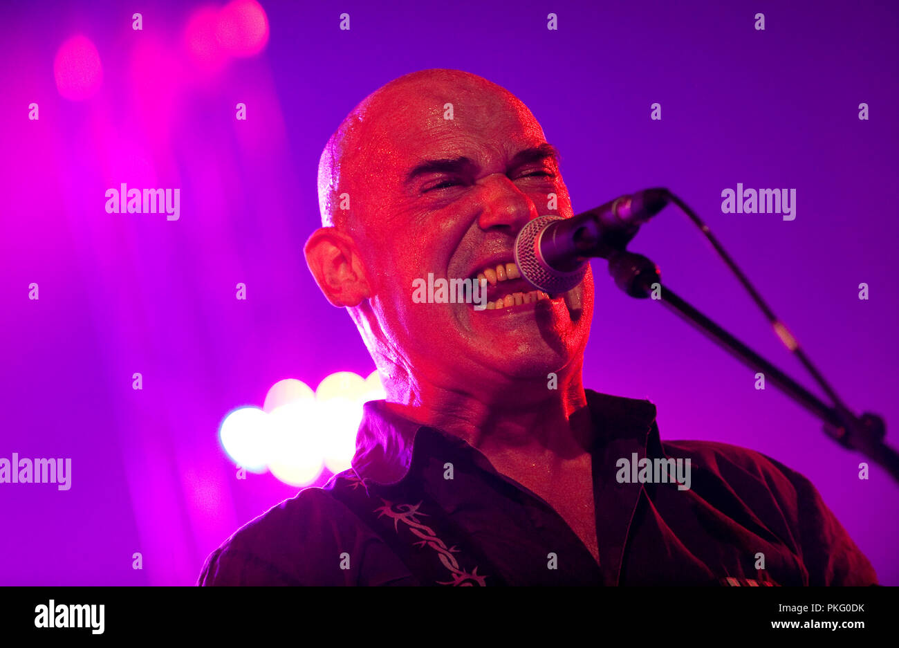 Punk belge hi-res stock photography and images - Alamy