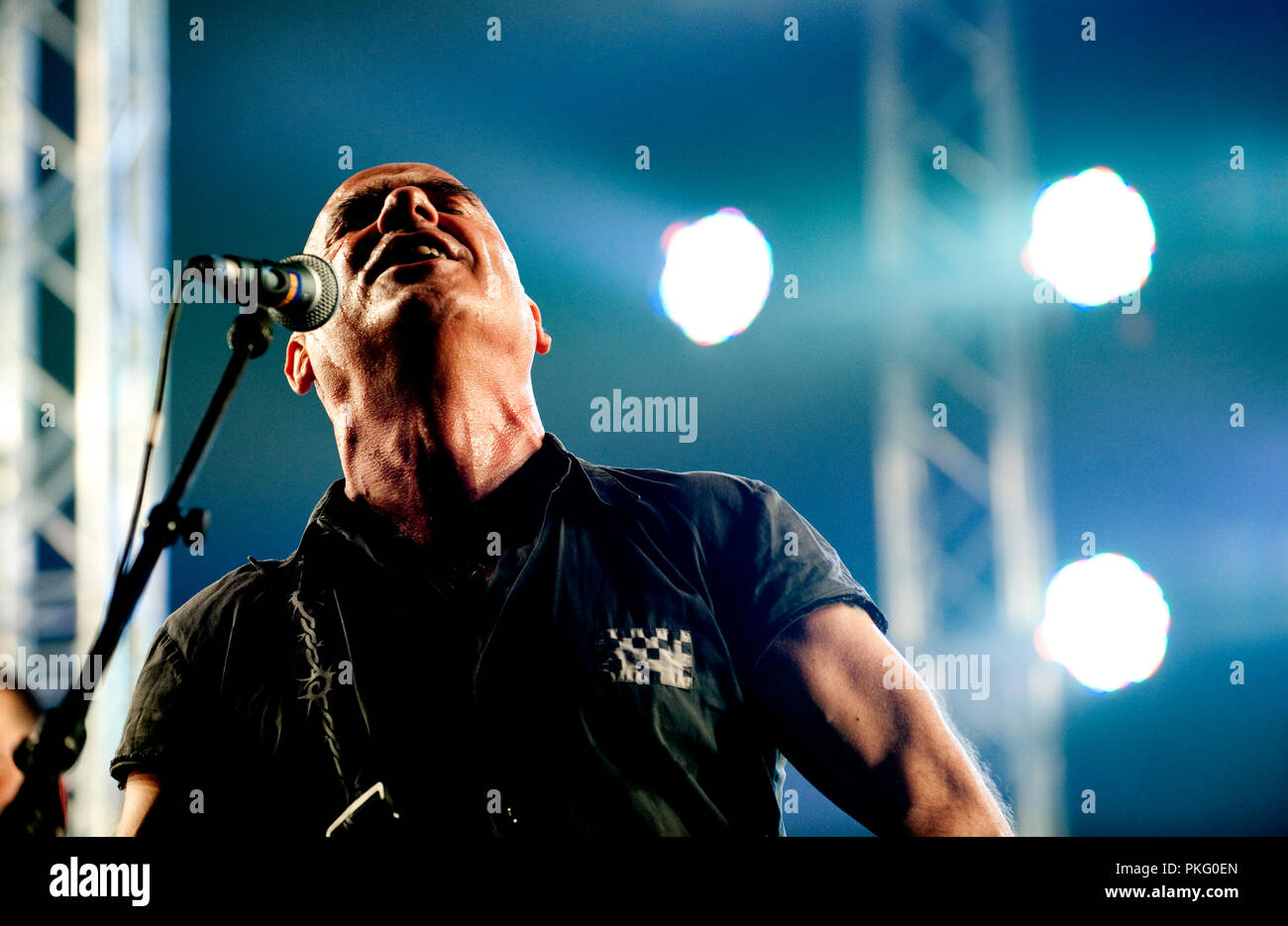 Ludo mariman hi-res stock photography and images - Alamy