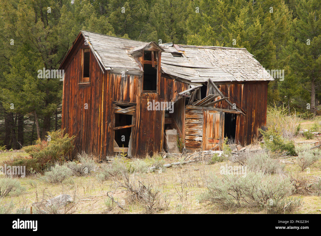 Weathered cabin, Elkhorn, Beaverhead-Deerlodge National Forest, Montana ...