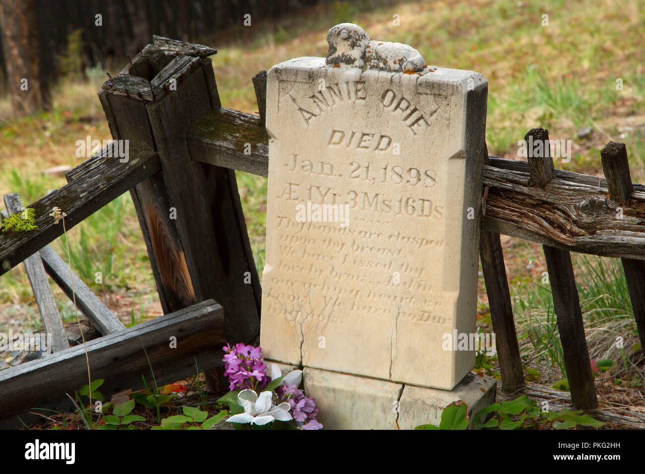 Beaverhead national forest hi-res stock photography and images - Alamy