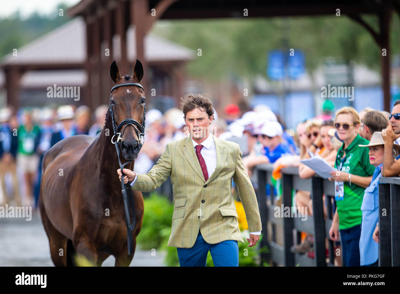 Sam watson horse hi-res stock photography and images - Alamy