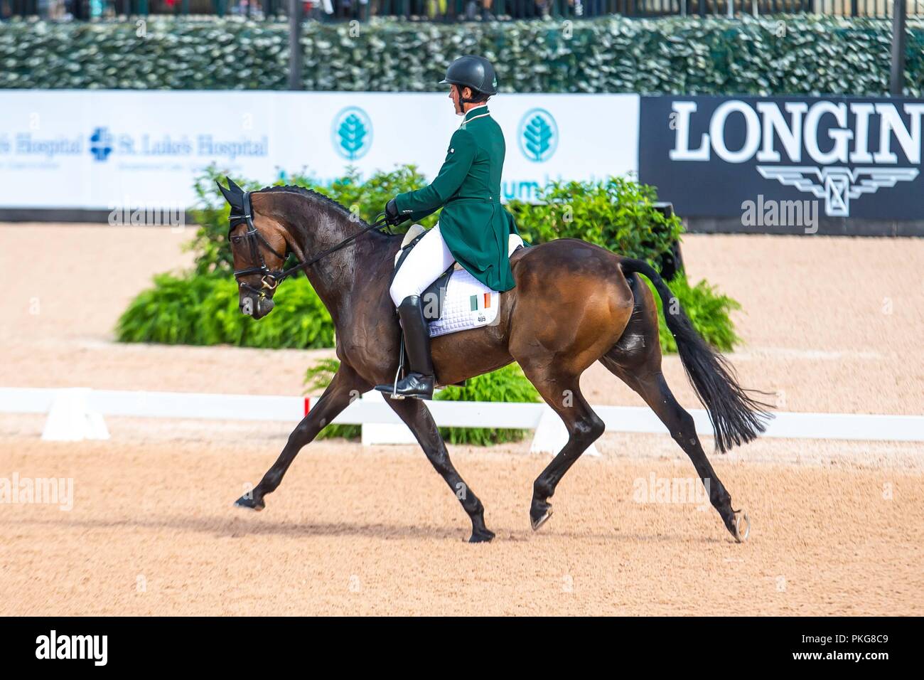 Sam watson world equestrian games hi-res stock photography and images ...