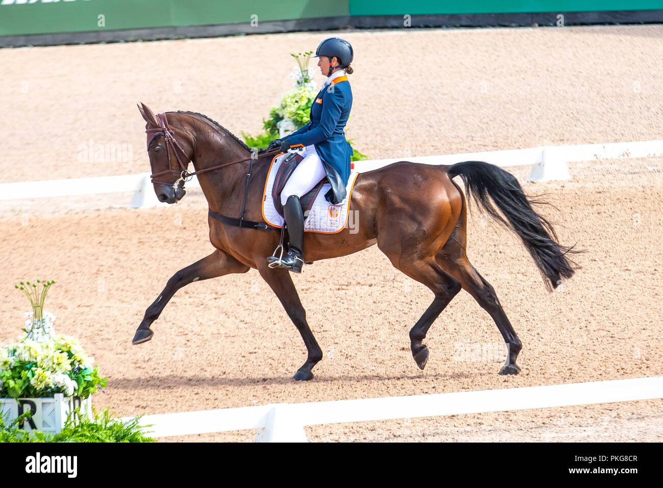 Tryon, North Carolina, USA. 13th Sep 2018. Alice Naber-Lozeman. ACSI ...