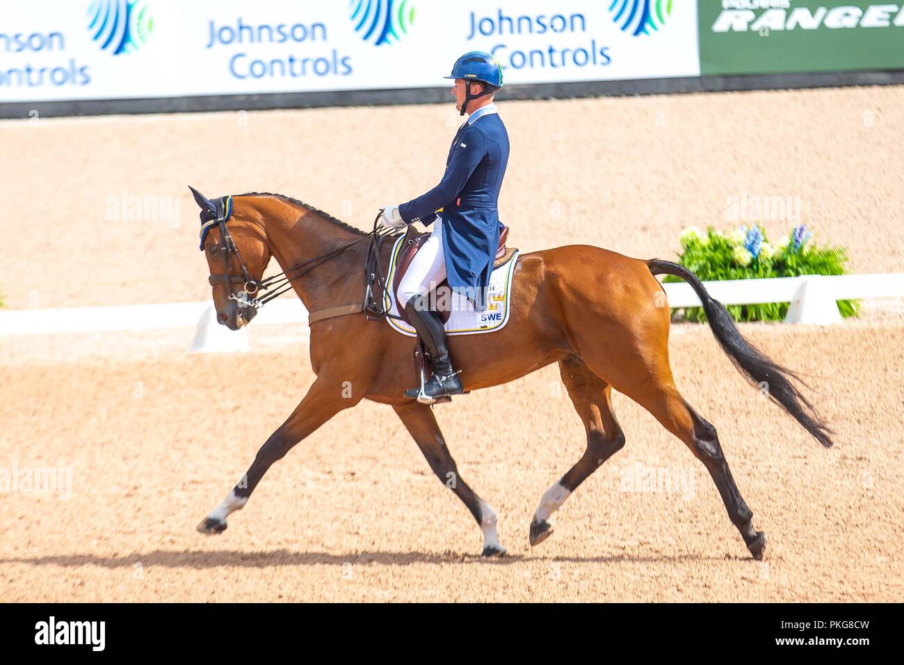 Usa 13th sep 2018 alice naber lozeman hi-res stock photography and ...