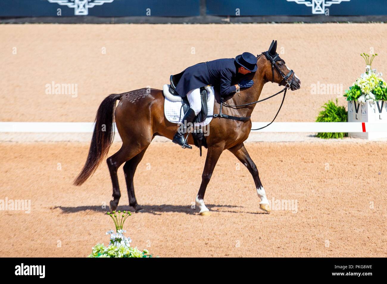 Tryon, North Carolina, USA. 13th Sep 2018. Ronald Zabala Goetschel ...