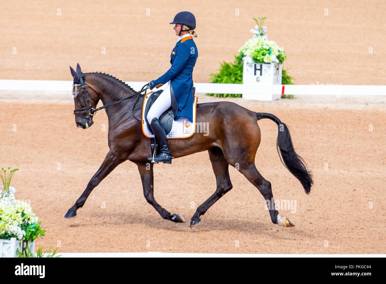Tryon, North Carolina, USA. 13th Sep 2018. Renske Kroeze riding Jane Z ...