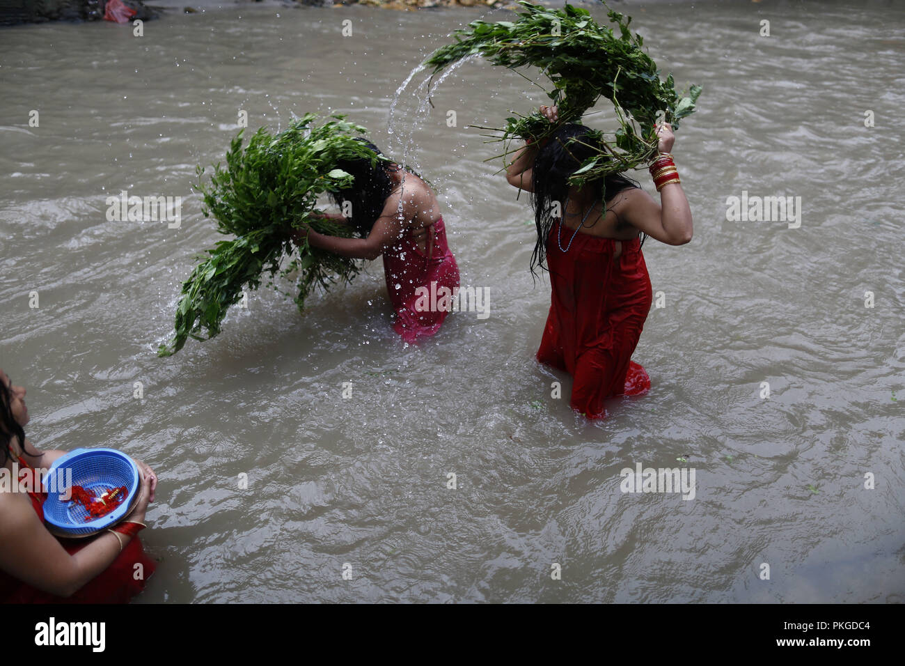 Aghada plant hi-res stock photography and images - Alamy