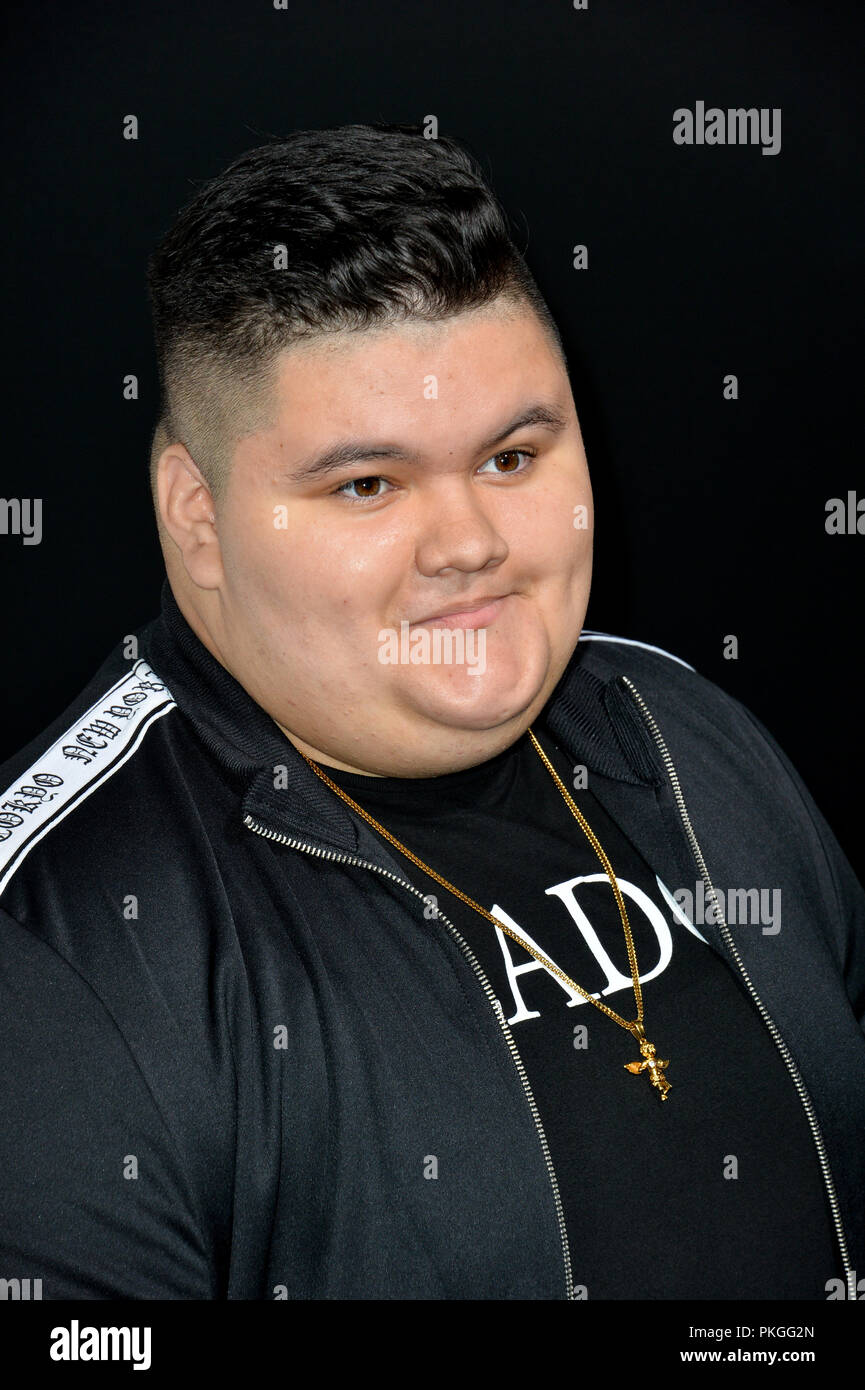 Los Angeles, USA. September 13, 2018: Jovan Armand at the premiere for ...