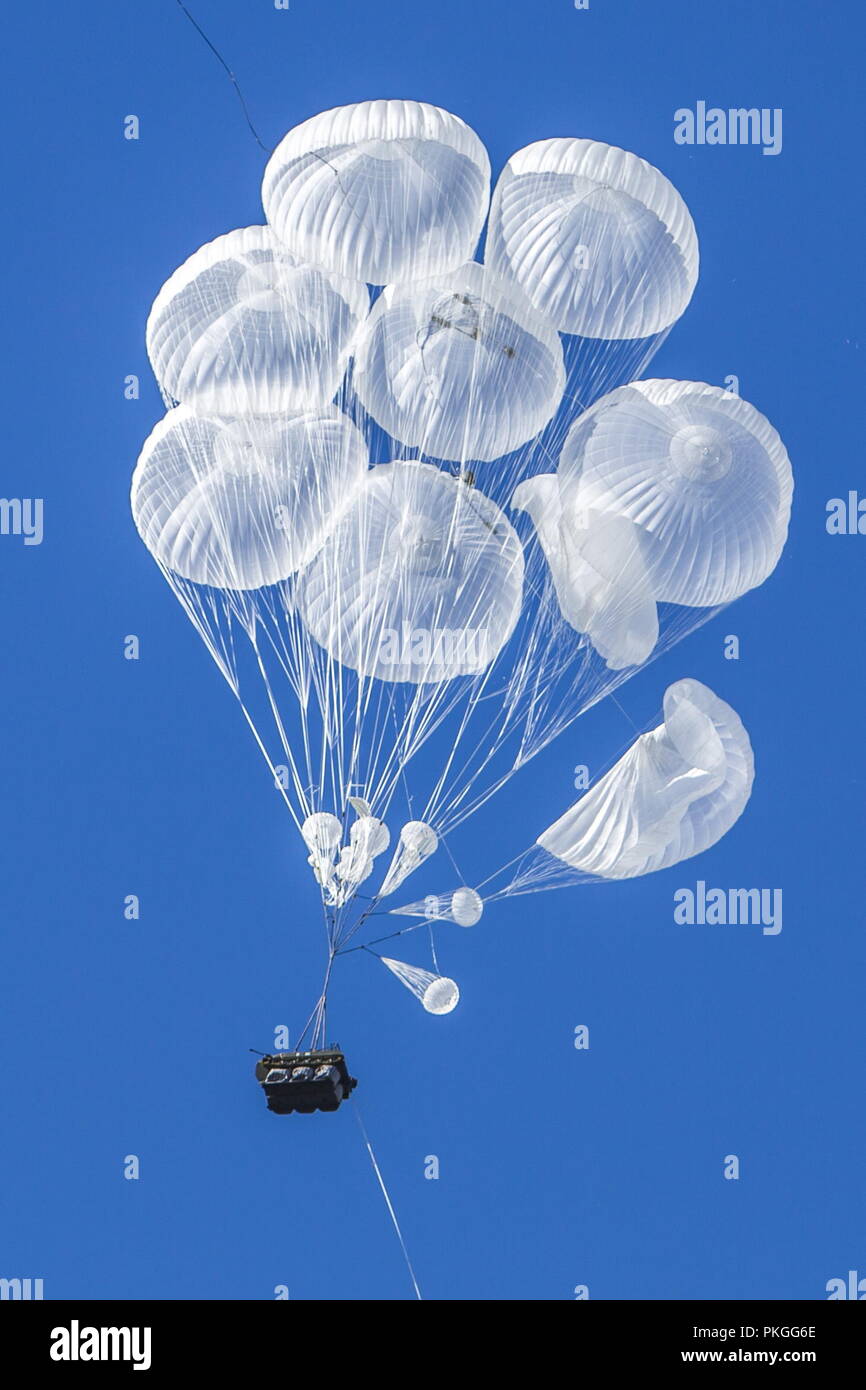 Russian Liberation Army, High Resolution Stock Photography and Images ...