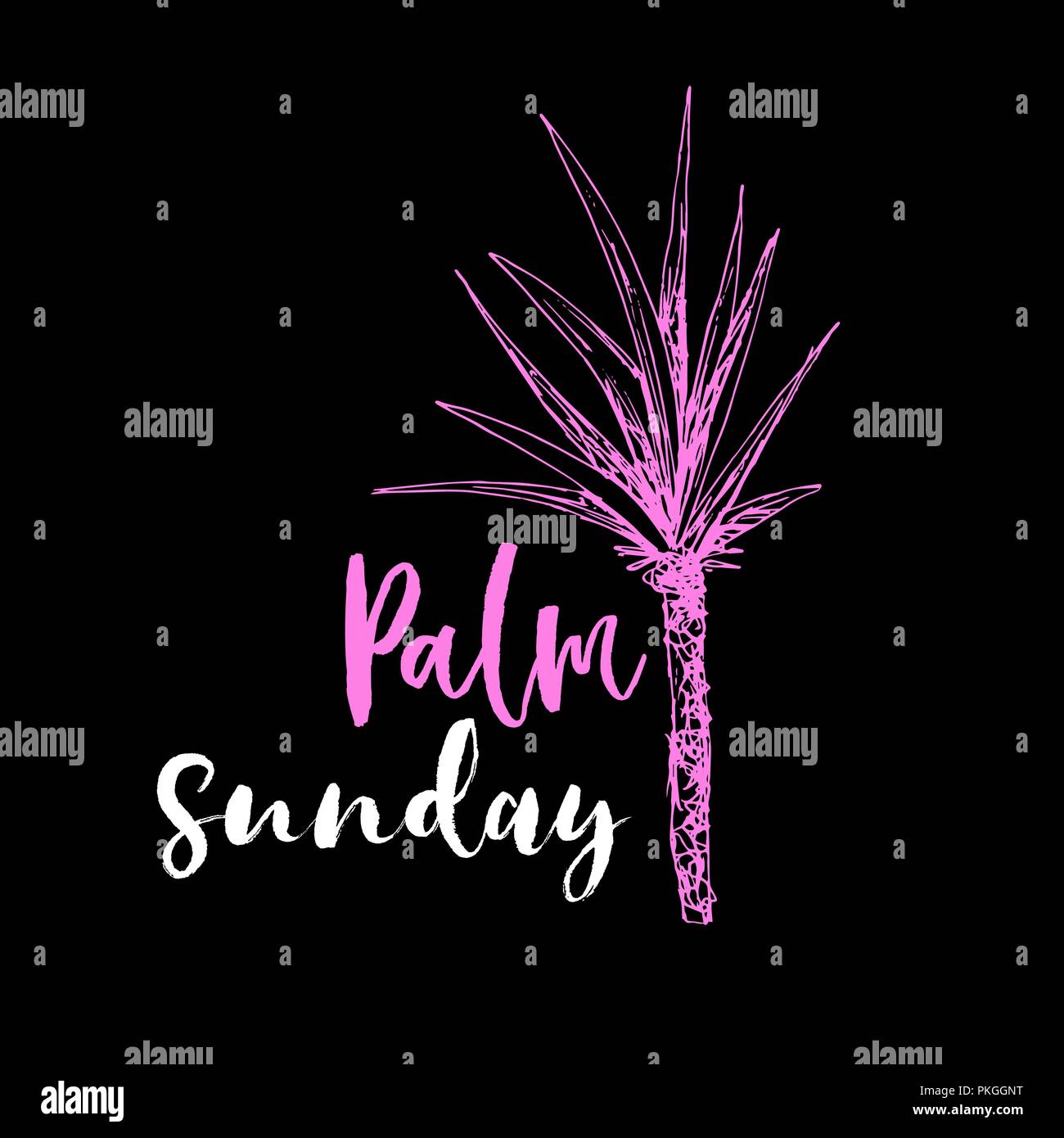 Isolated coconut or queen palm tree with leaves. Beach and rainforest ...