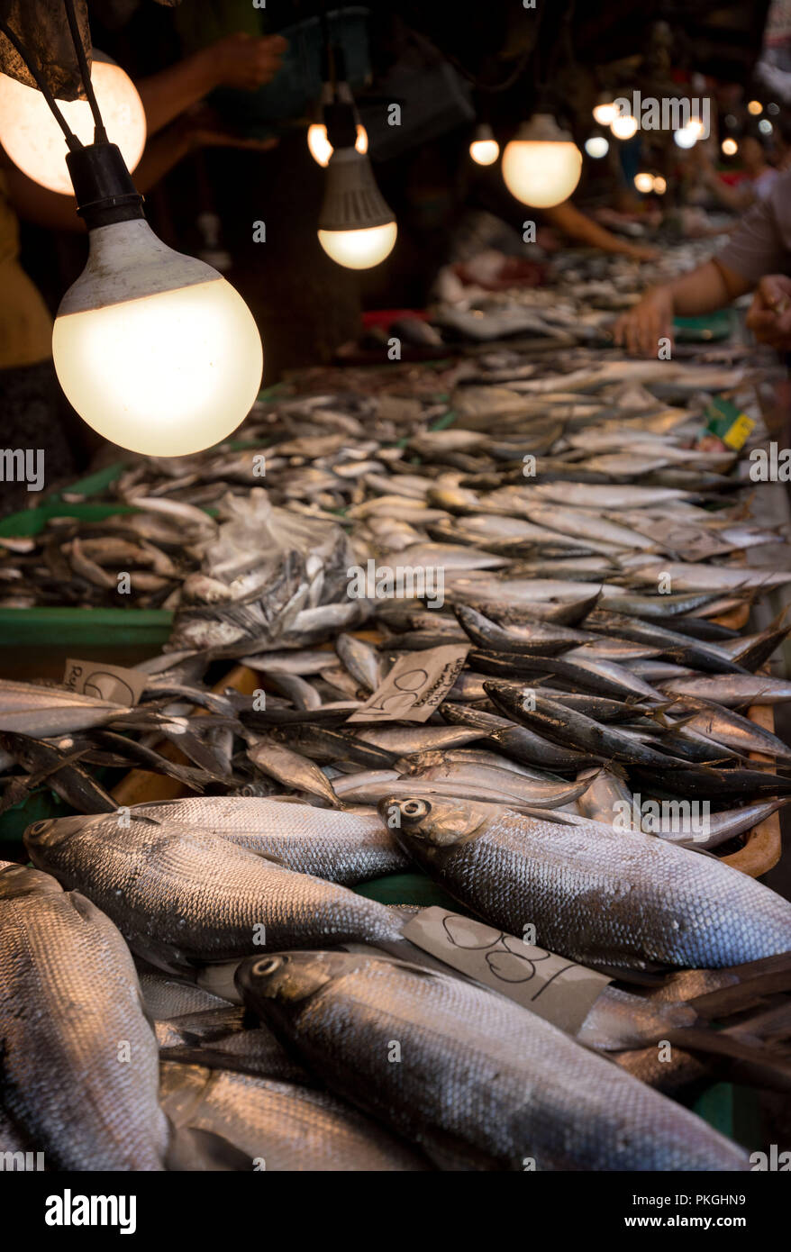 Bangus philippines hi-res stock photography and images - Alamy