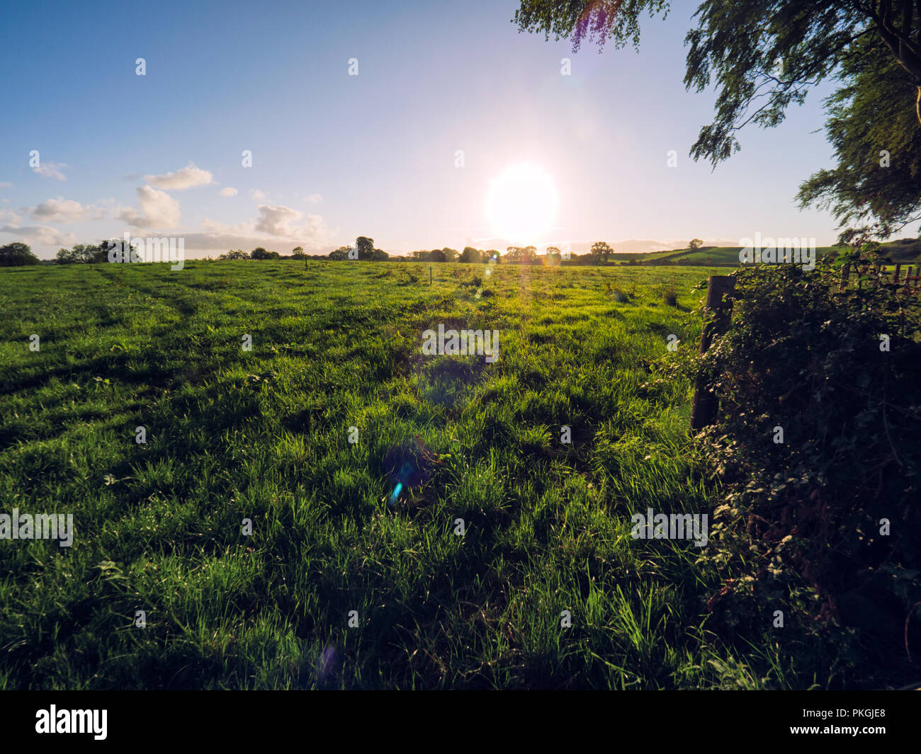 sunshine countryside in giant causeway,Northern Ireland Stock Photo - Alamy