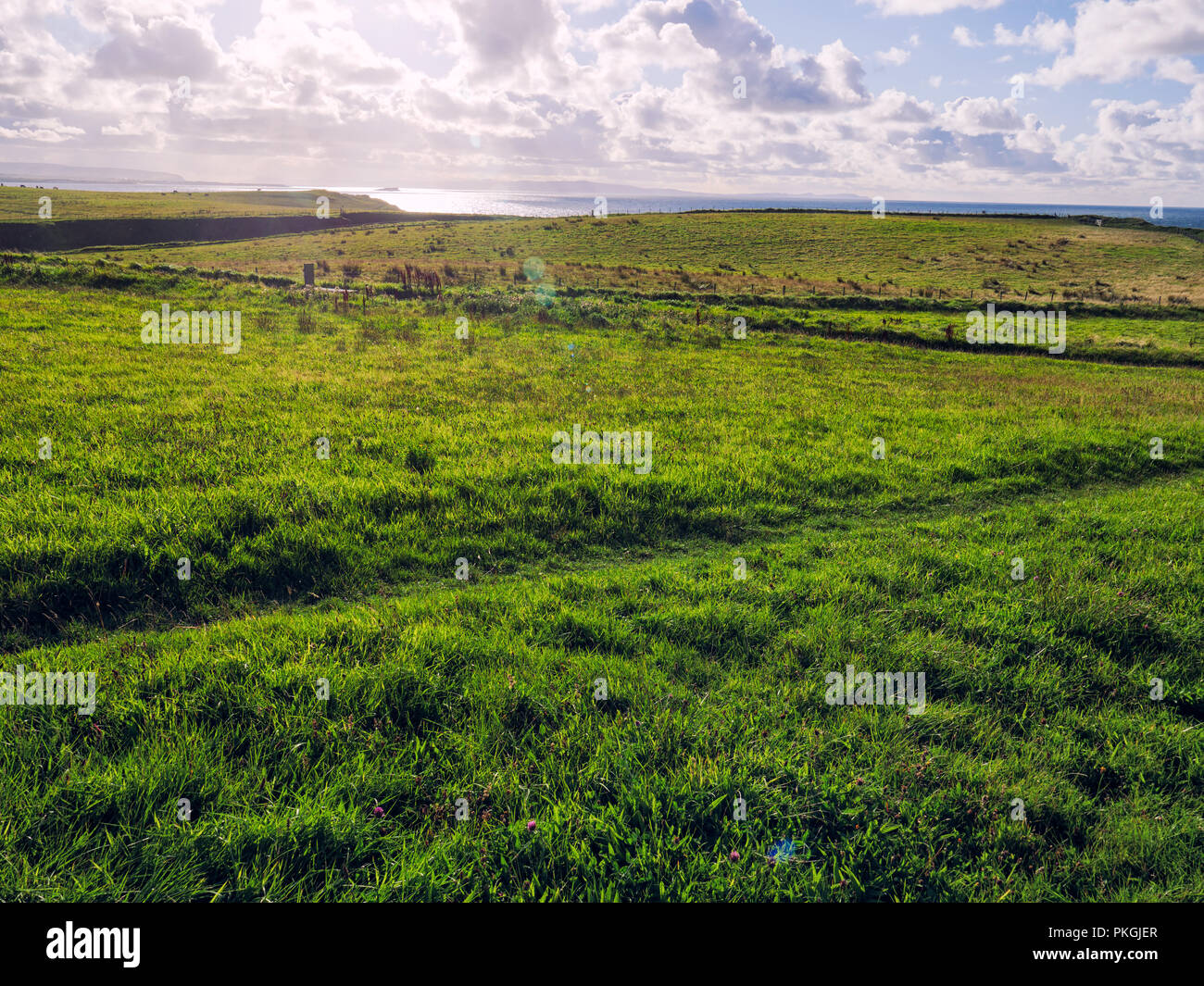 sunshine countryside in giant causeway,Northern Ireland Stock Photo - Alamy