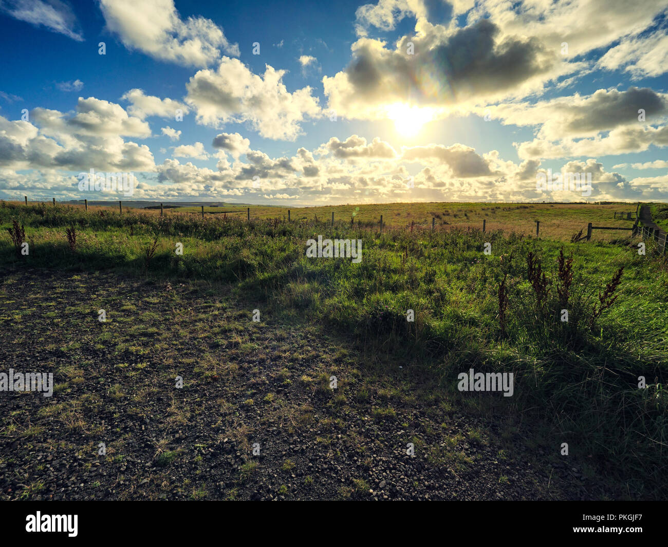 sunshine countryside in giant causeway,Northern Ireland Stock Photo - Alamy