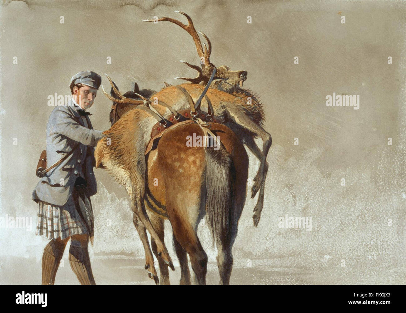 Haag Carl - John Mackenzie with a Dead Stag on a Pony Stock Photo - Alamy