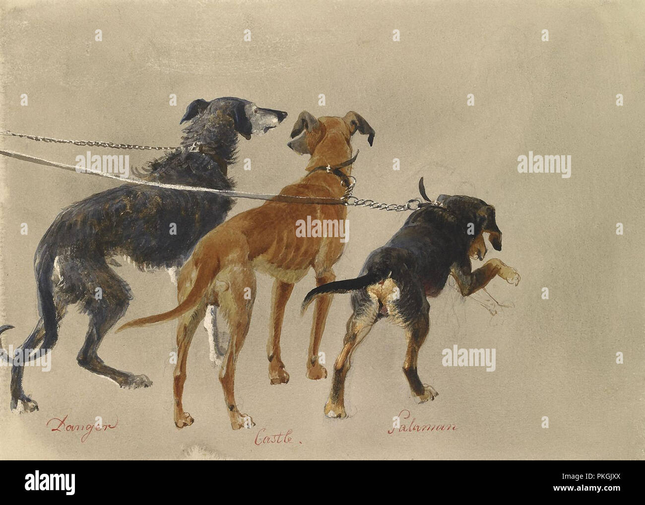 Prince alberts hi-res stock photography and images - Alamy