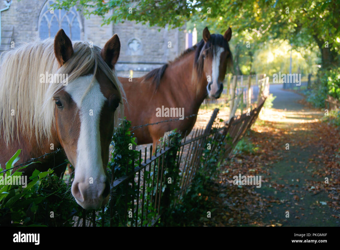 Llanfairfechan hi-res stock photography and images - Alamy