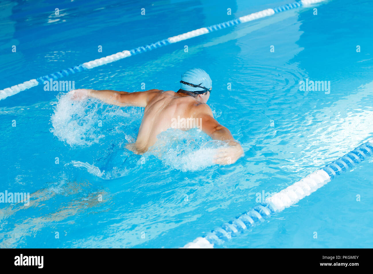 Image from back of sports man swimming in pool Stock Photo - Alamy