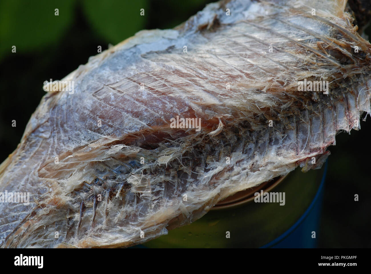 Dúo gourmet hi-res stock photography and images - Alamy