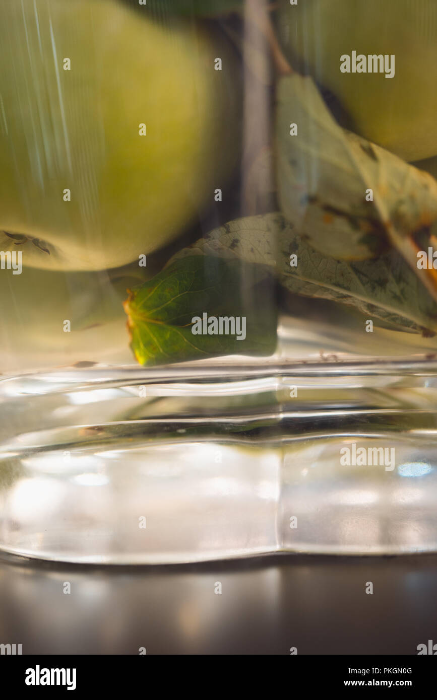 Fruit floats hi-res stock photography and images - Alamy