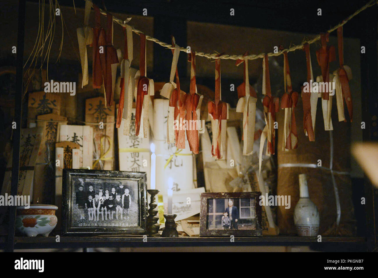 TEMPLE, 2017. © Screen Media Films /Courtesy Everett Collection Stock ...