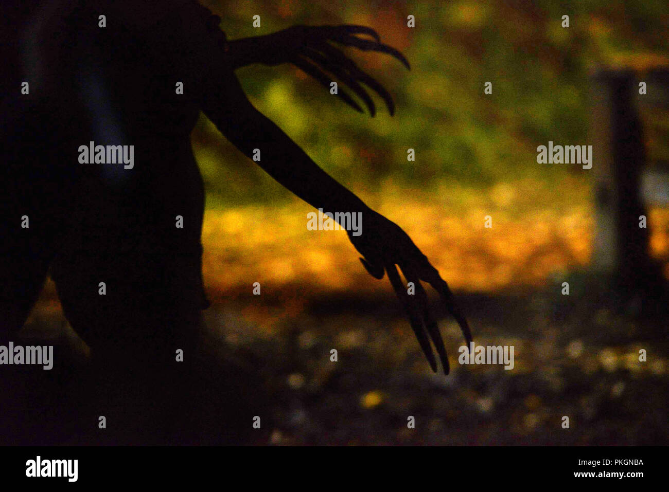 TEMPLE, 2017. © Screen Media Films /Courtesy Everett Collection Stock ...