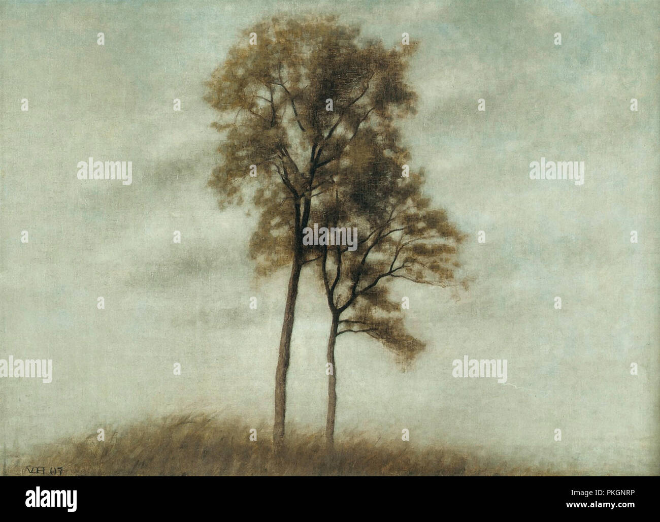 Two oak trees hi-res stock photography and images - Alamy