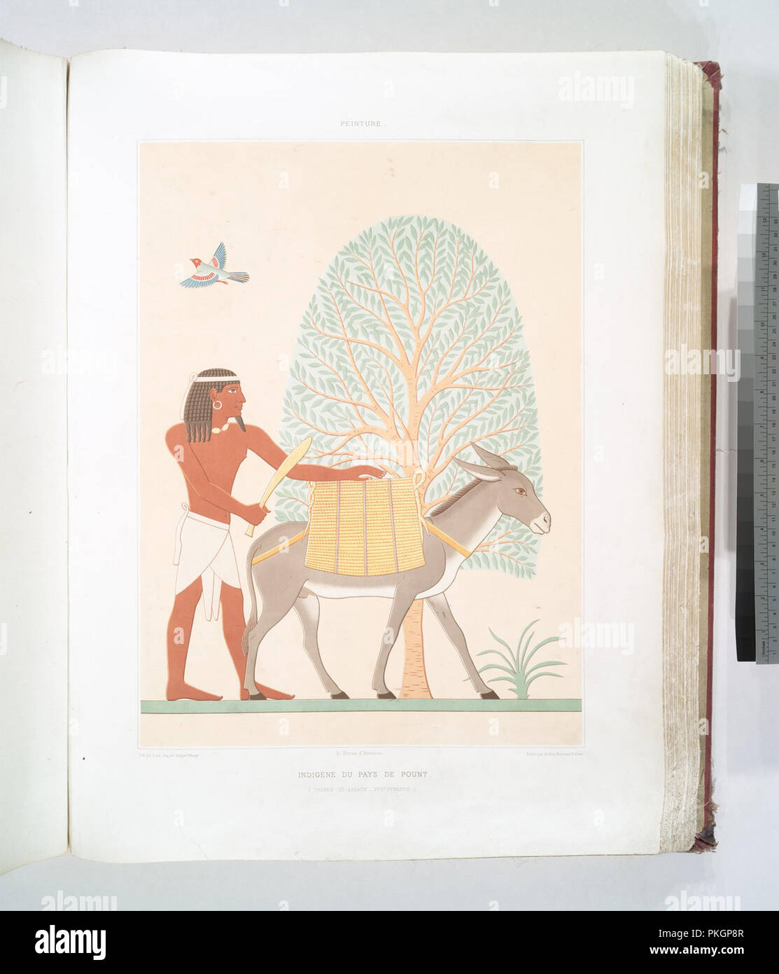 Egypt ra papyrus hieroglyphs hi-res stock photography and images - Alamy