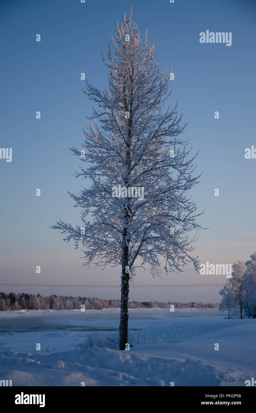 Wintter High Resolution Stock Photography and Images - Alamy