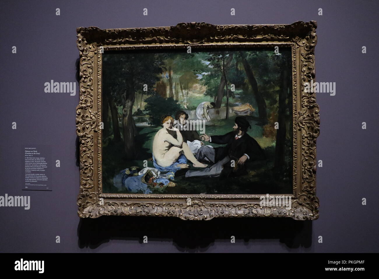 Courtauld Impressionists from Manet to Cezanne Stock Photo - Alamy