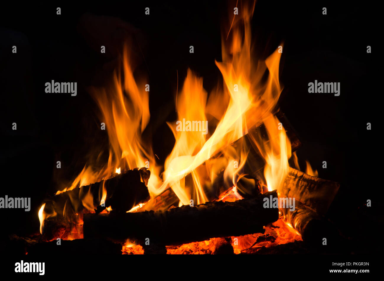 Burning wood at night. Campfire at touristic camp at nature in ...