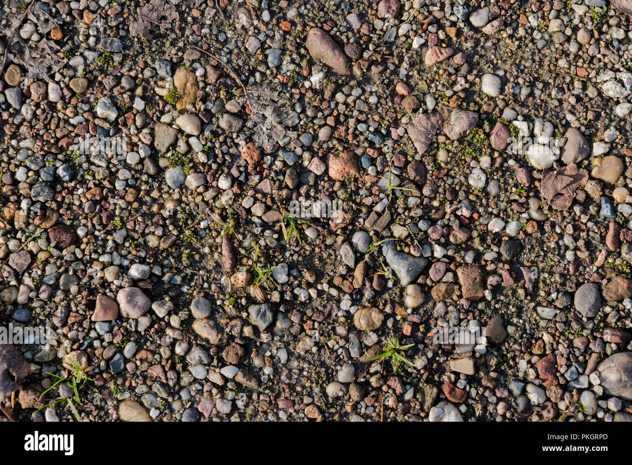 Small pebbles close up photo. Natural stone background Stock Photo - Alamy