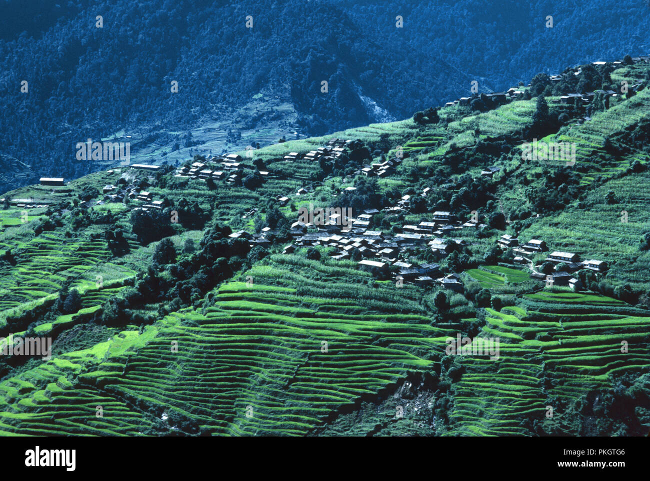 Ghandrung hi-res stock photography and images - Alamy