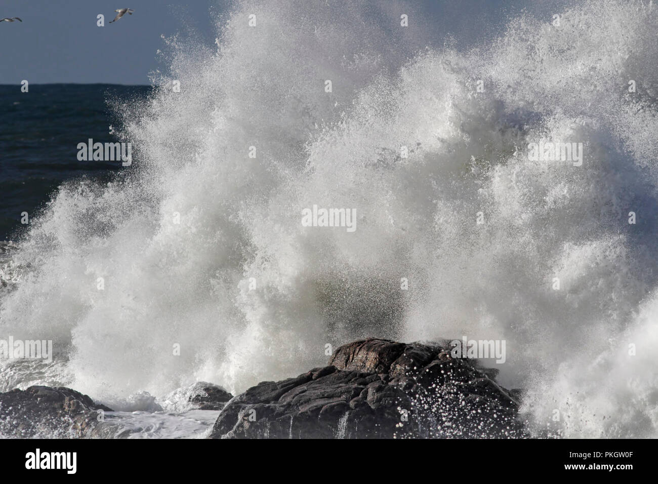 Big splash from a sea wave against coast rocks. Northern portuguese ...