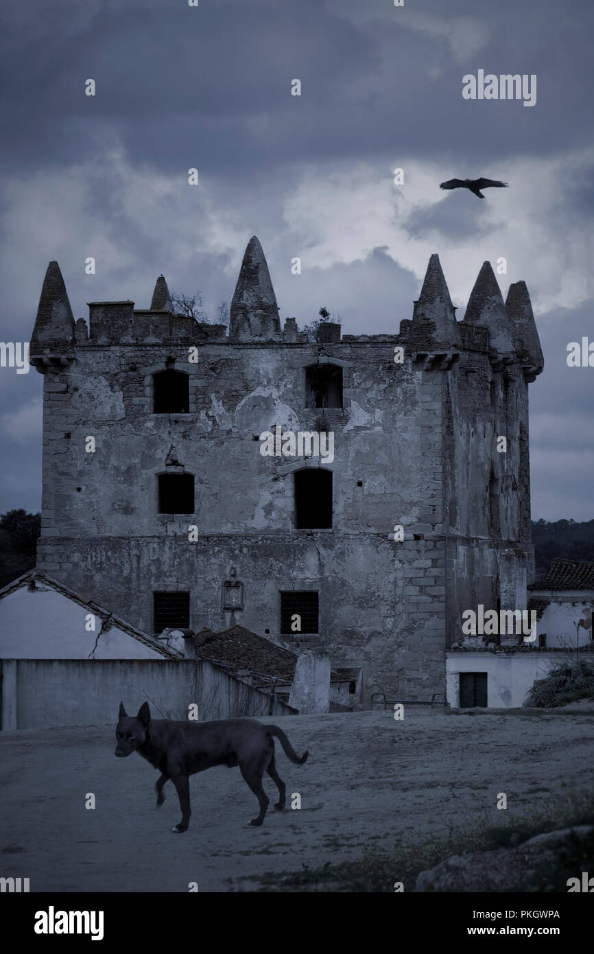 Creepy medieval tower at dusk Stock Photo - Alamy