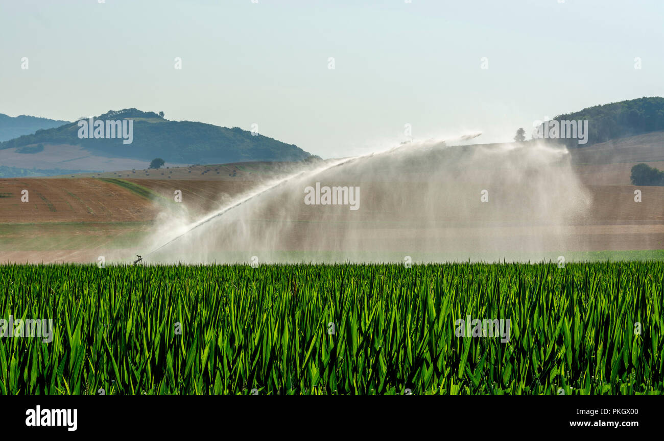 Wheat field irrigation hi-res stock photography and images - Alamy