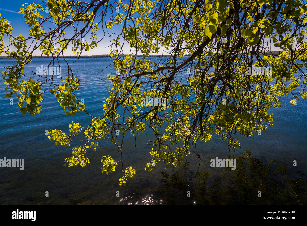 Monona lake hi-res stock photography and images - Alamy