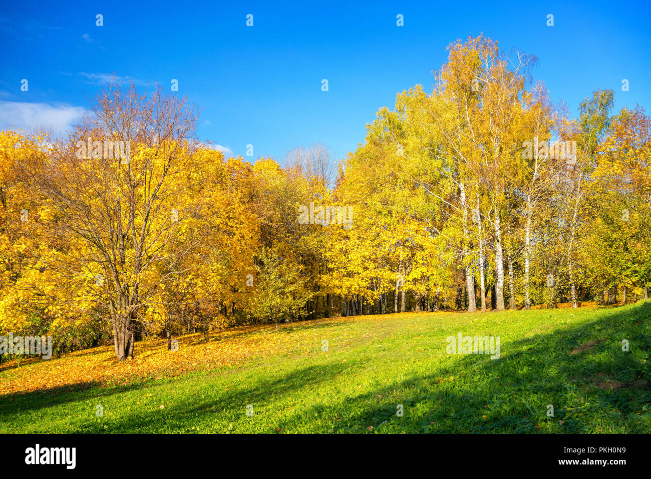 Meadow in countryside autumn season hi-res stock photography and images ...