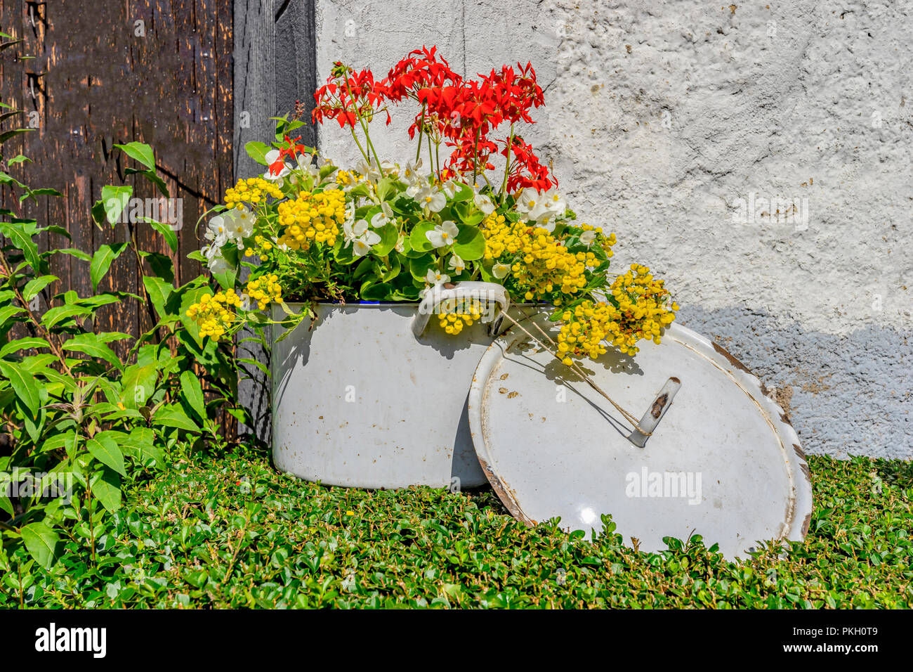 .Large white cooking pot with lid planted with flowers Stock Photo - Alamy