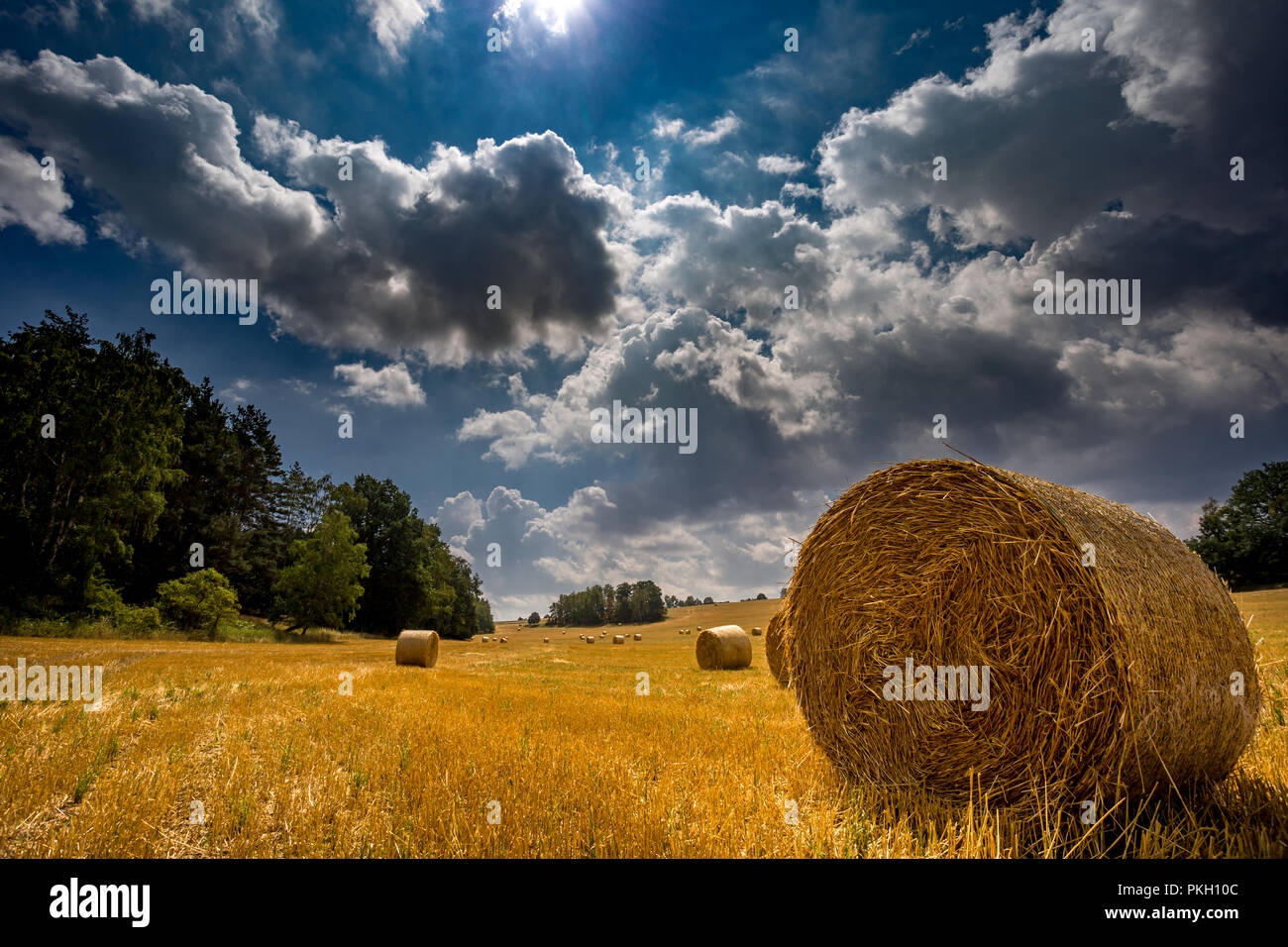 Field of straw bales hi-res stock photography and images - Alamy