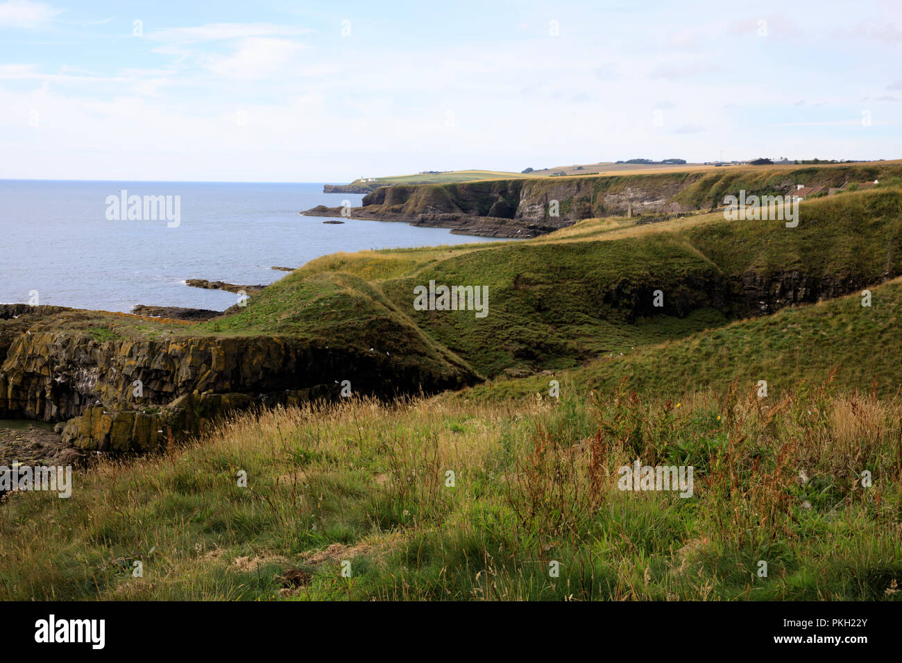View at Crawton Bay, Scotland, Highlands, United Kingdom Stock Photo ...