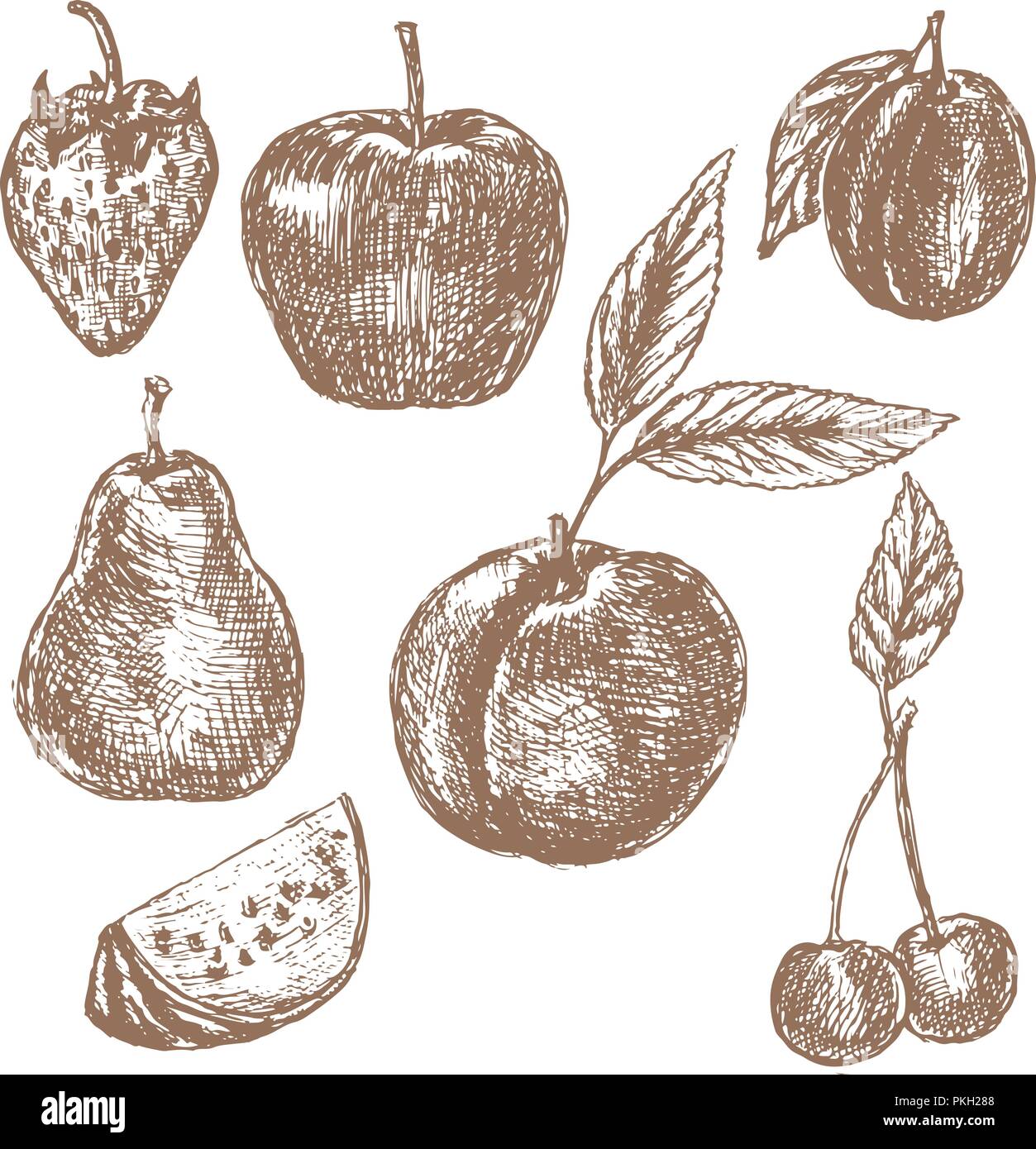 Cherry set hand drawn Stock Vector Images - Alamy