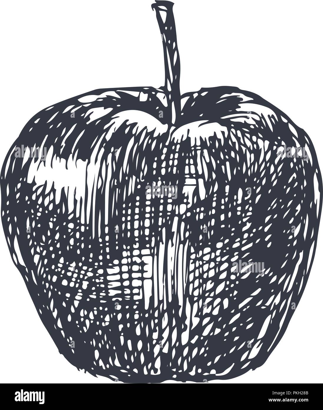 Apple. Hand drawn sketch in grunge style Stock Vector Image & Art - Alamy