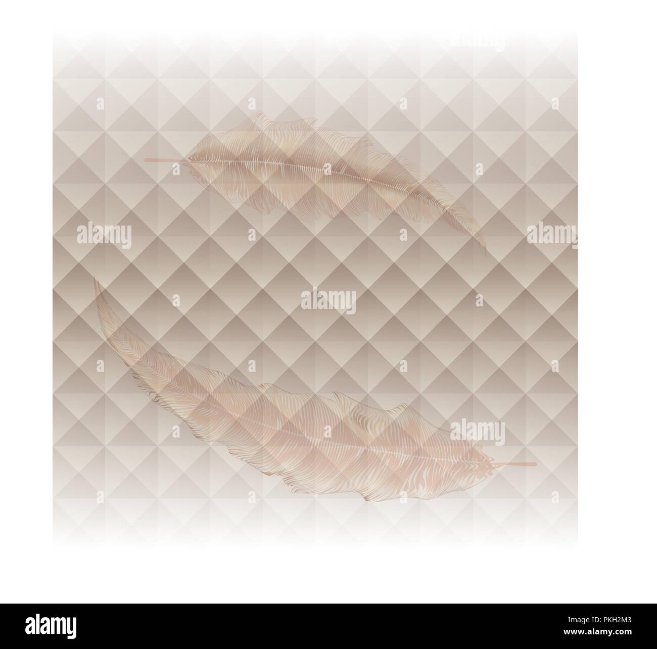 Soft feather design on abstract background, stock vector Stock Vector ...