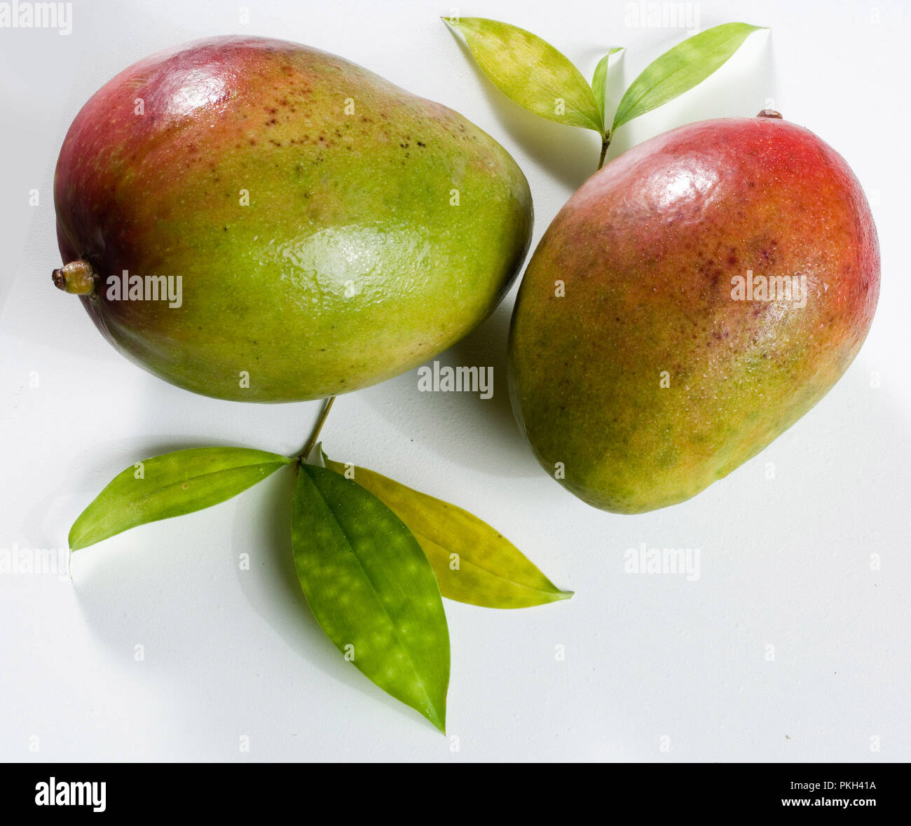 Editable pulp hi-res stock photography and images - Alamy